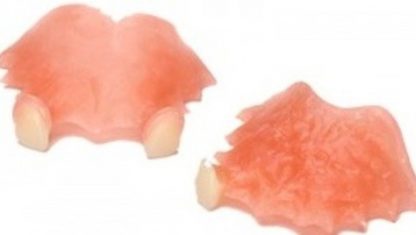 Flipper Tooth Denture » DentKits