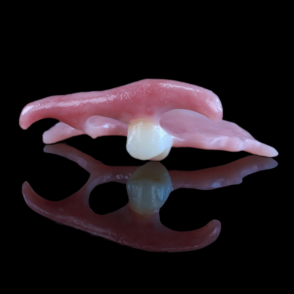 Buy Nesbit Partial Online | DentKits