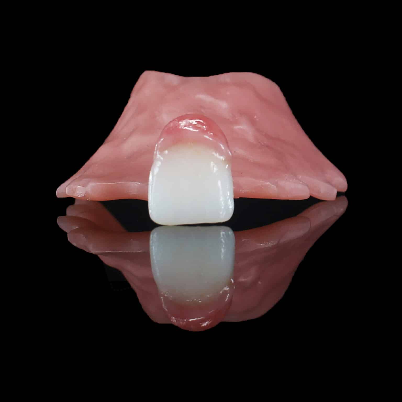 Buy Flipper Tooth Online | DentKits