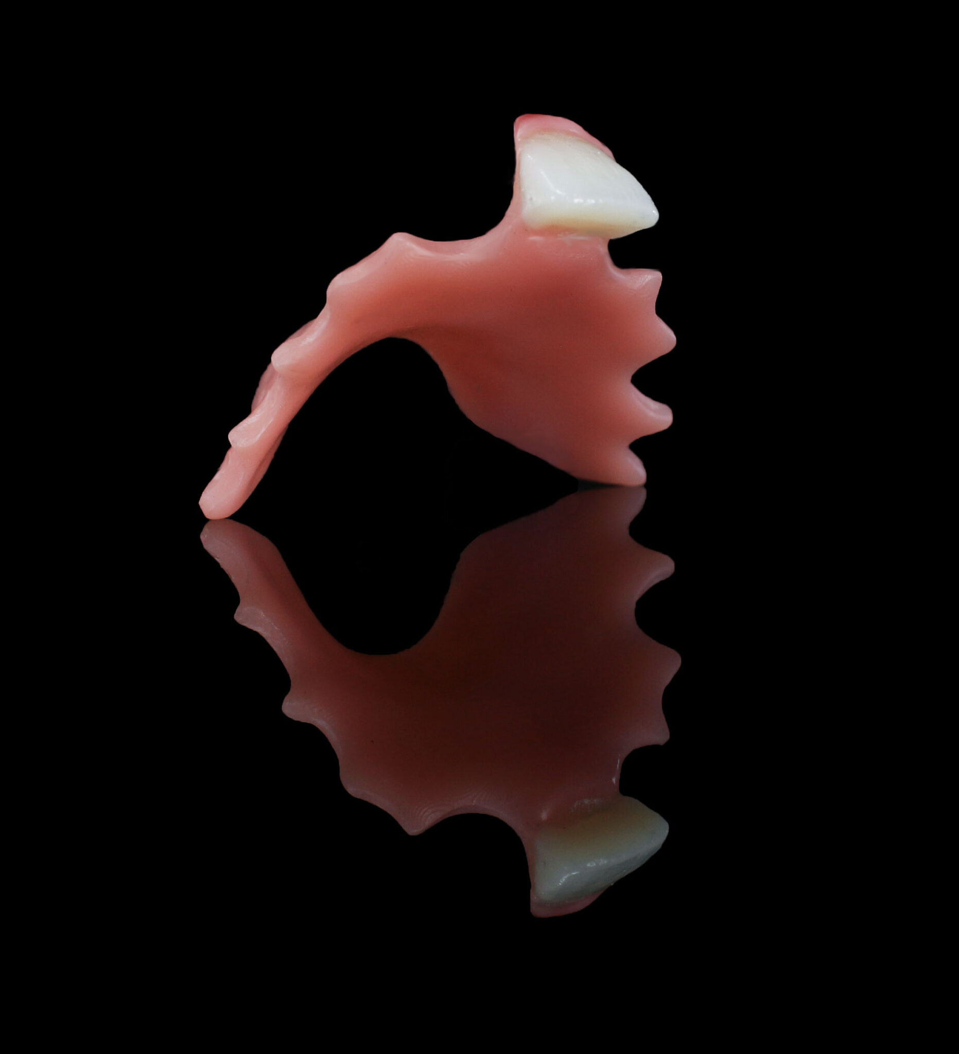 Buy Flipper Tooth Online | DentKits